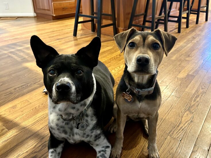 Todd Rosenthal, BA'06, MA'07 - FDU Office of University Advancement